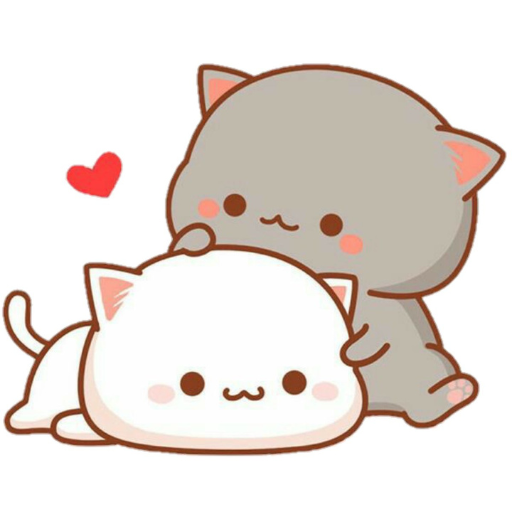 Goma Cat Sorry: The Viral Goma Cat "Sorry" Meme